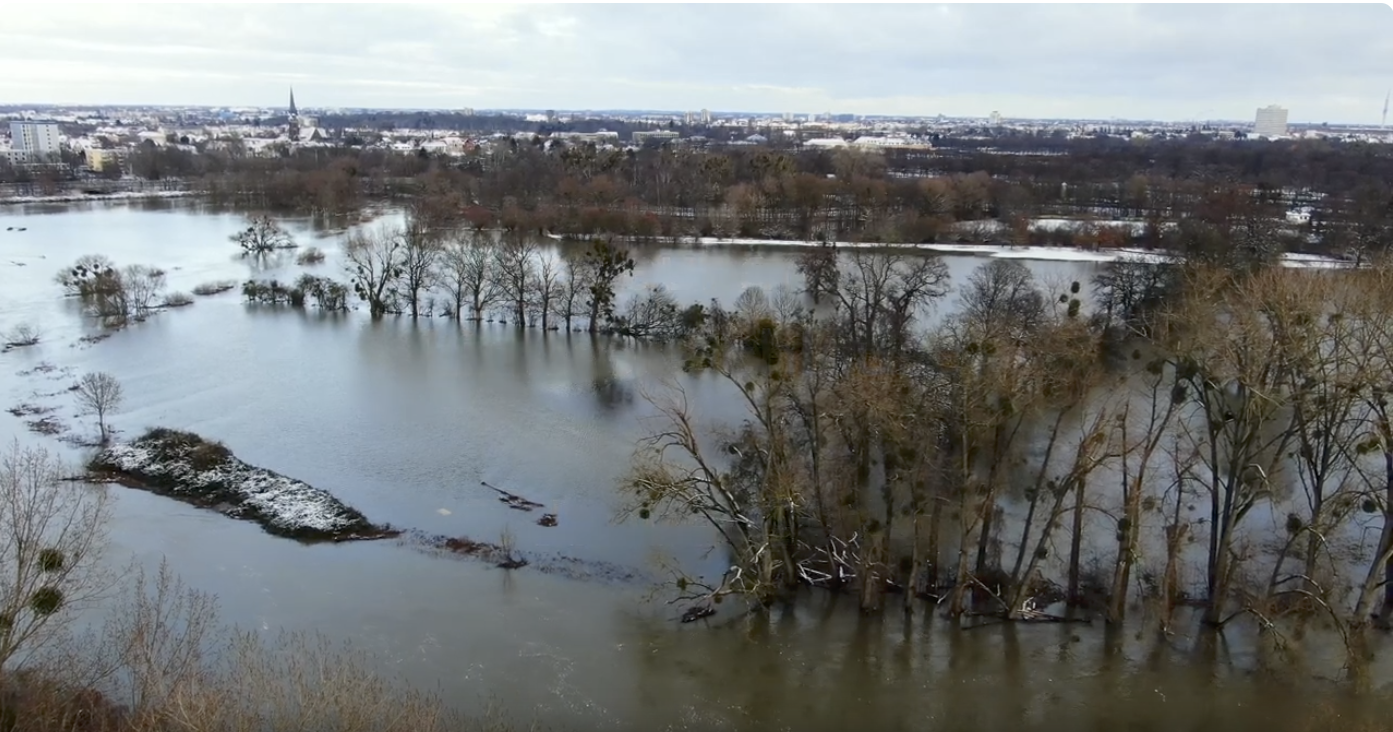 Hochwasser Januar 2024 - KSC Hannover